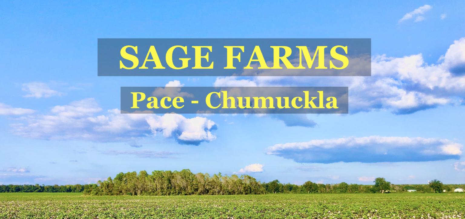 Sage Farms Community – Pace, FL - New Homes Pensacola FL